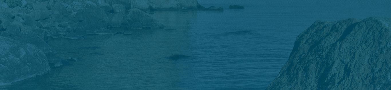 Fronting Insurance Arrangements FAQs | Benchmark Insurance