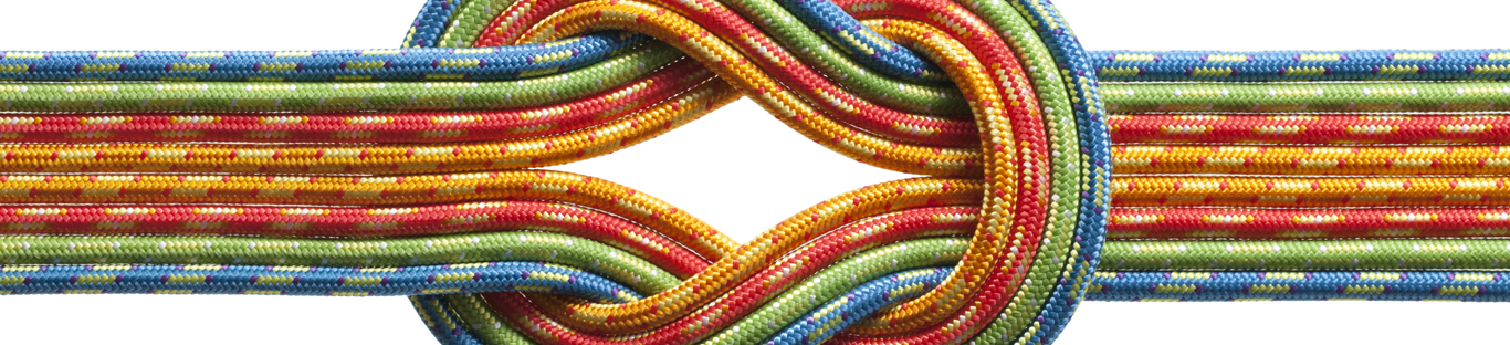 Accident & Health Insurance | Benchmark Insurance Company